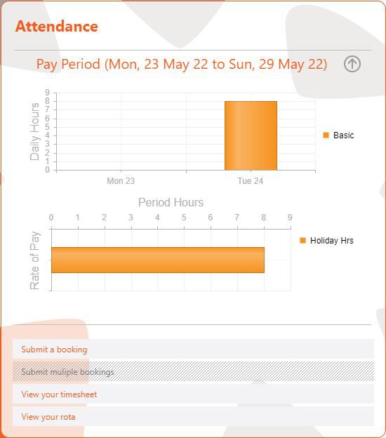 ESS (employee self service) - remote access to extensive functions